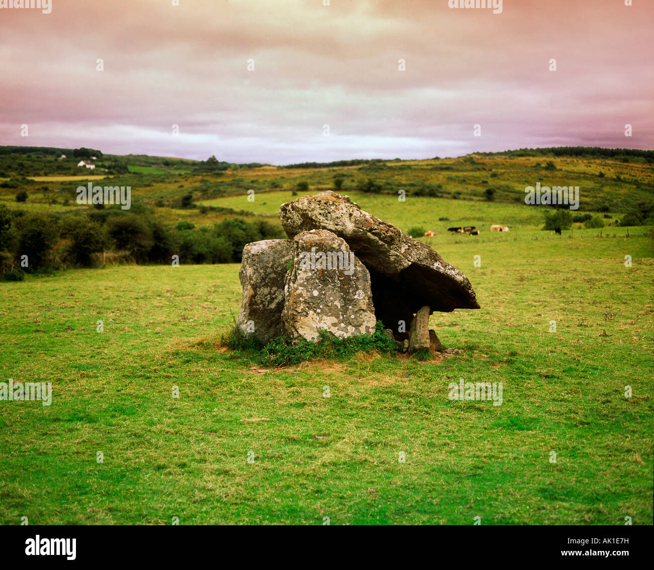 Drumanone Dolmen, Boyle, County Roscommon, Ireland Stock Photo - Alamy