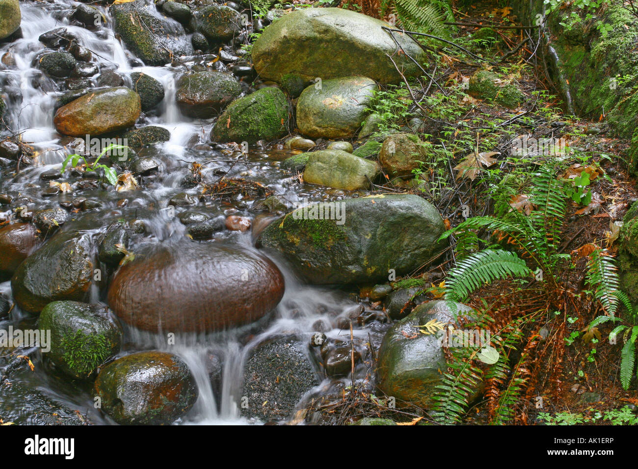 water and rocks Stock Photo - Alamy