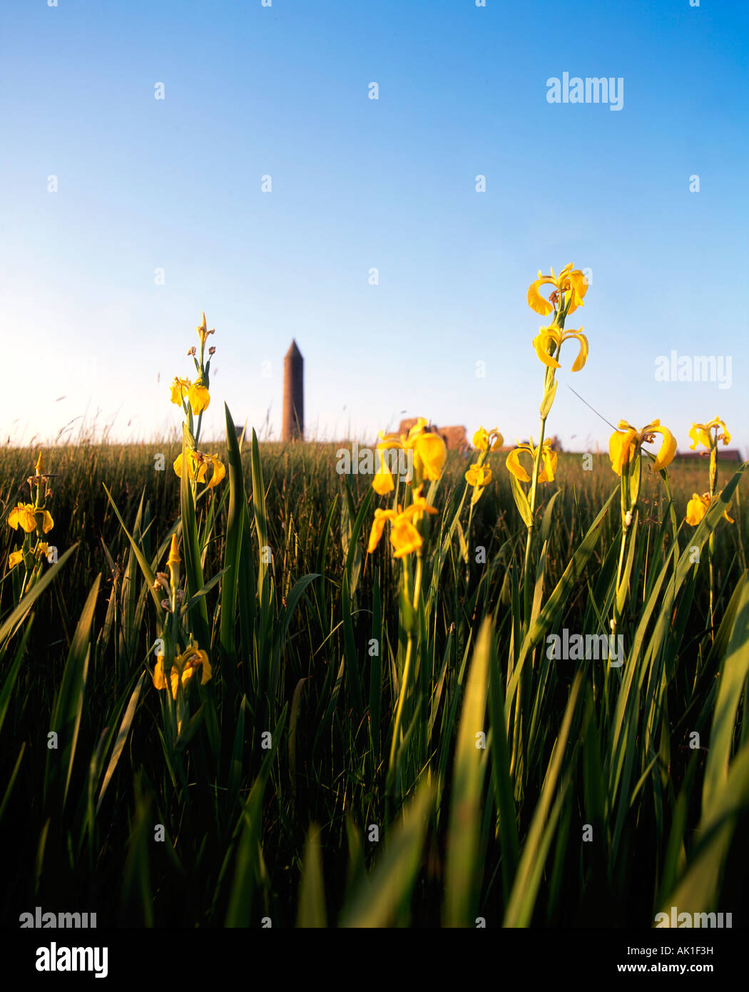 Round Tower, Devenish Island, Lower Lough Erne, County Fermanagh ...