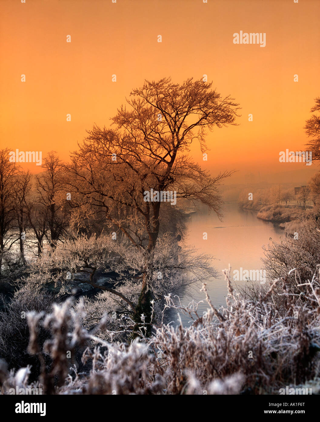 River Lagan, Lagan Meadows, County Antrim, Belfast, Ireland Stock Photo ...