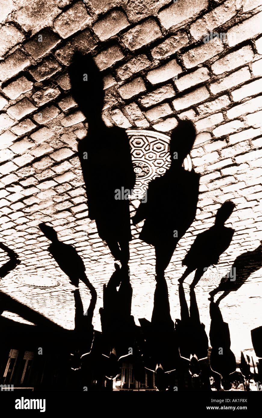 Group of Men, Ireland Stock Photo - Alamy