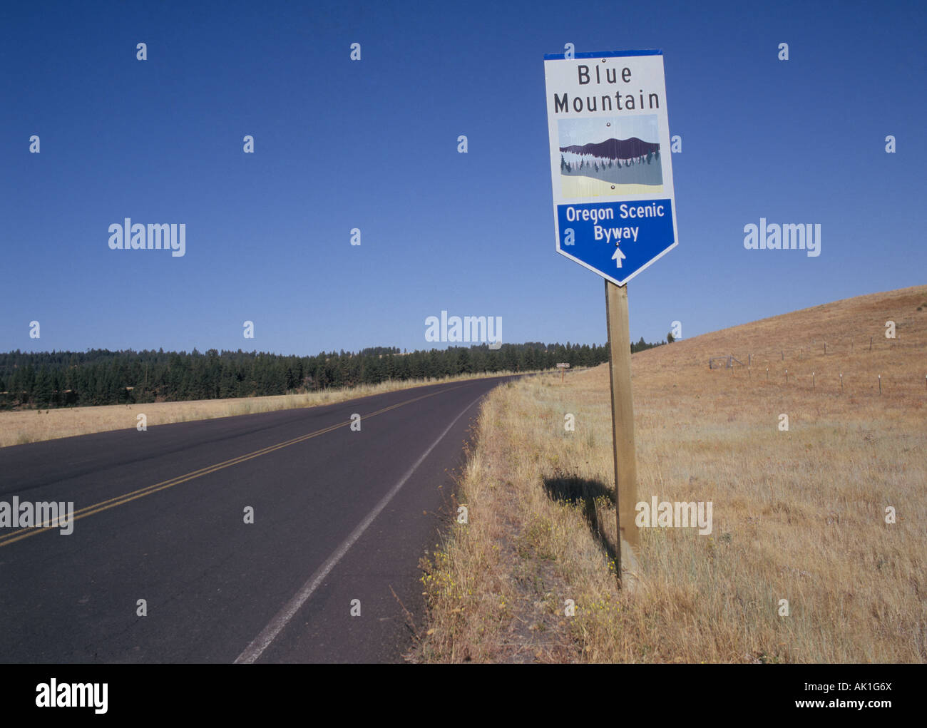 A section of the Blue Mountain Oregon Scenic Byway in the Blue ...