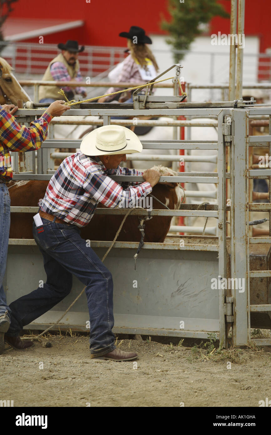North American Rodeo Stock Photo - Alamy