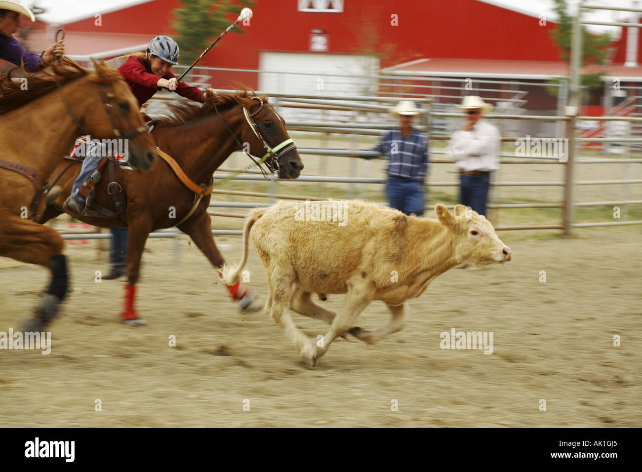 Stick horse rodeo hi-res stock photography and images - Alamy