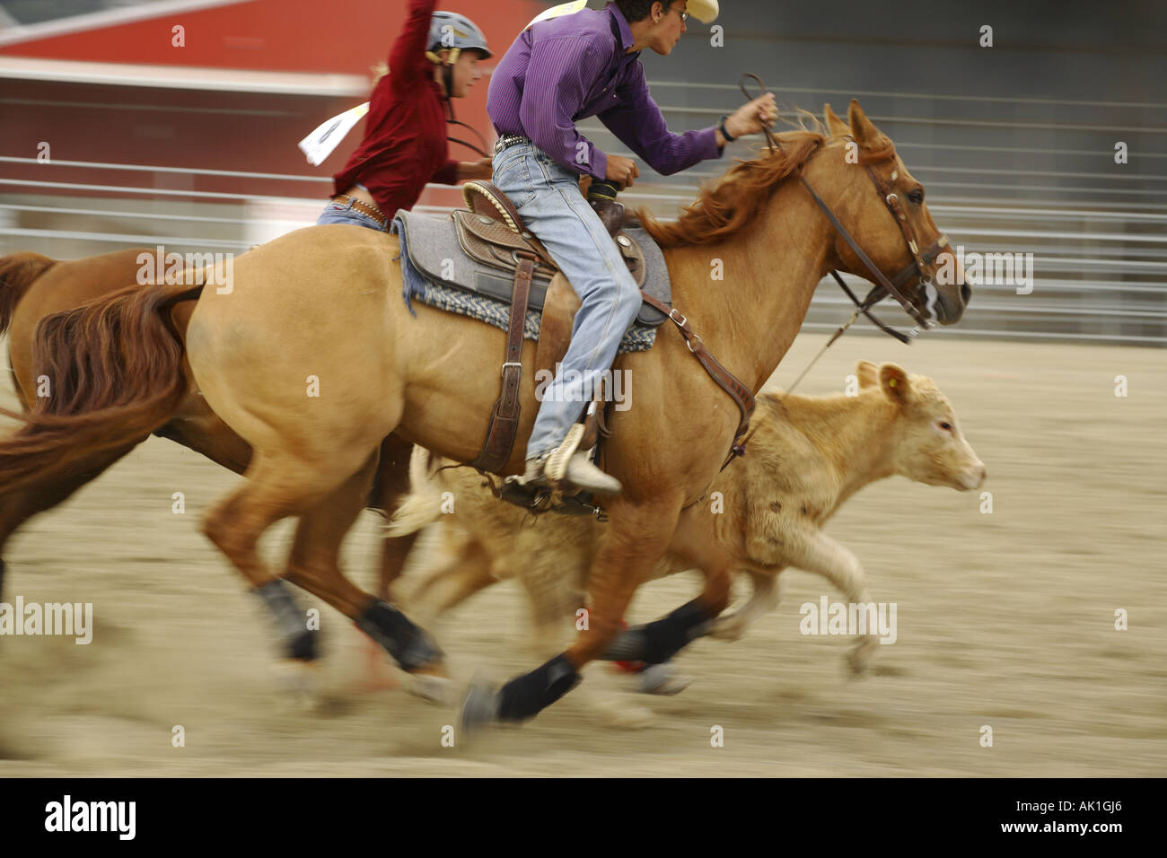 Girl roping calf hi-res stock photography and images - Alamy