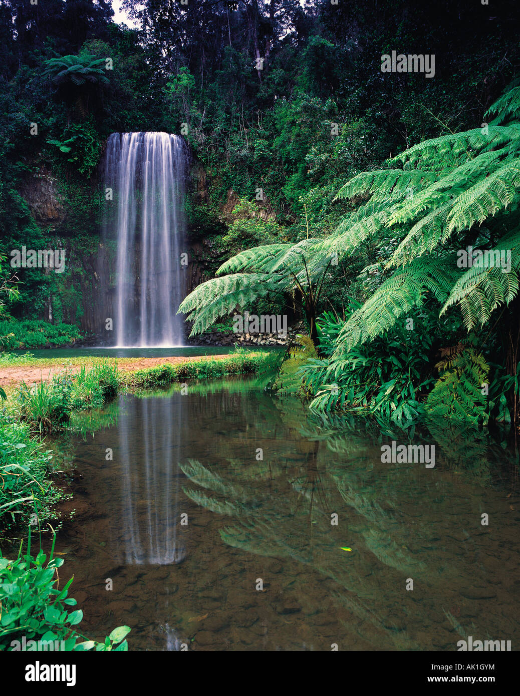 Milla milla falls hi-res stock photography and images - Alamy