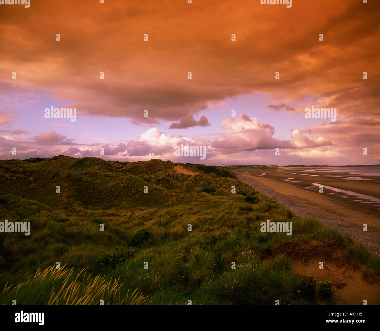 Murlough bay nature reserve hi-res stock photography and images - Alamy