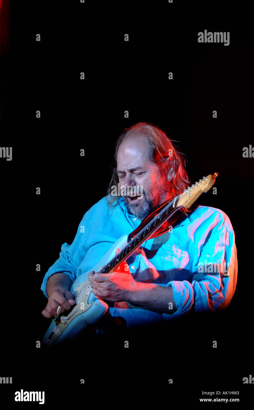 Guitarist Ray Russell guitarist plays on stage at Vibes from the Vines ...