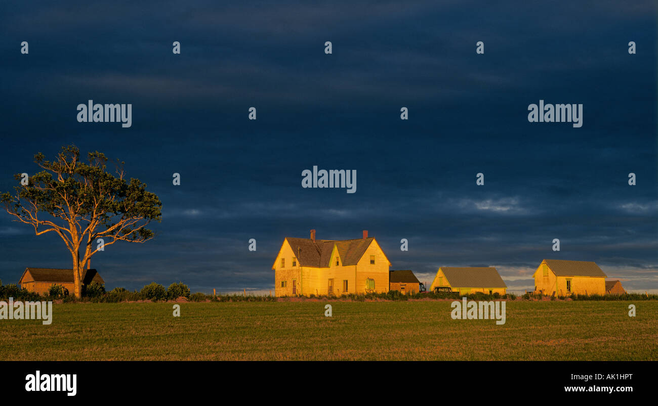 Depression era farm hi-res stock photography and images - Alamy