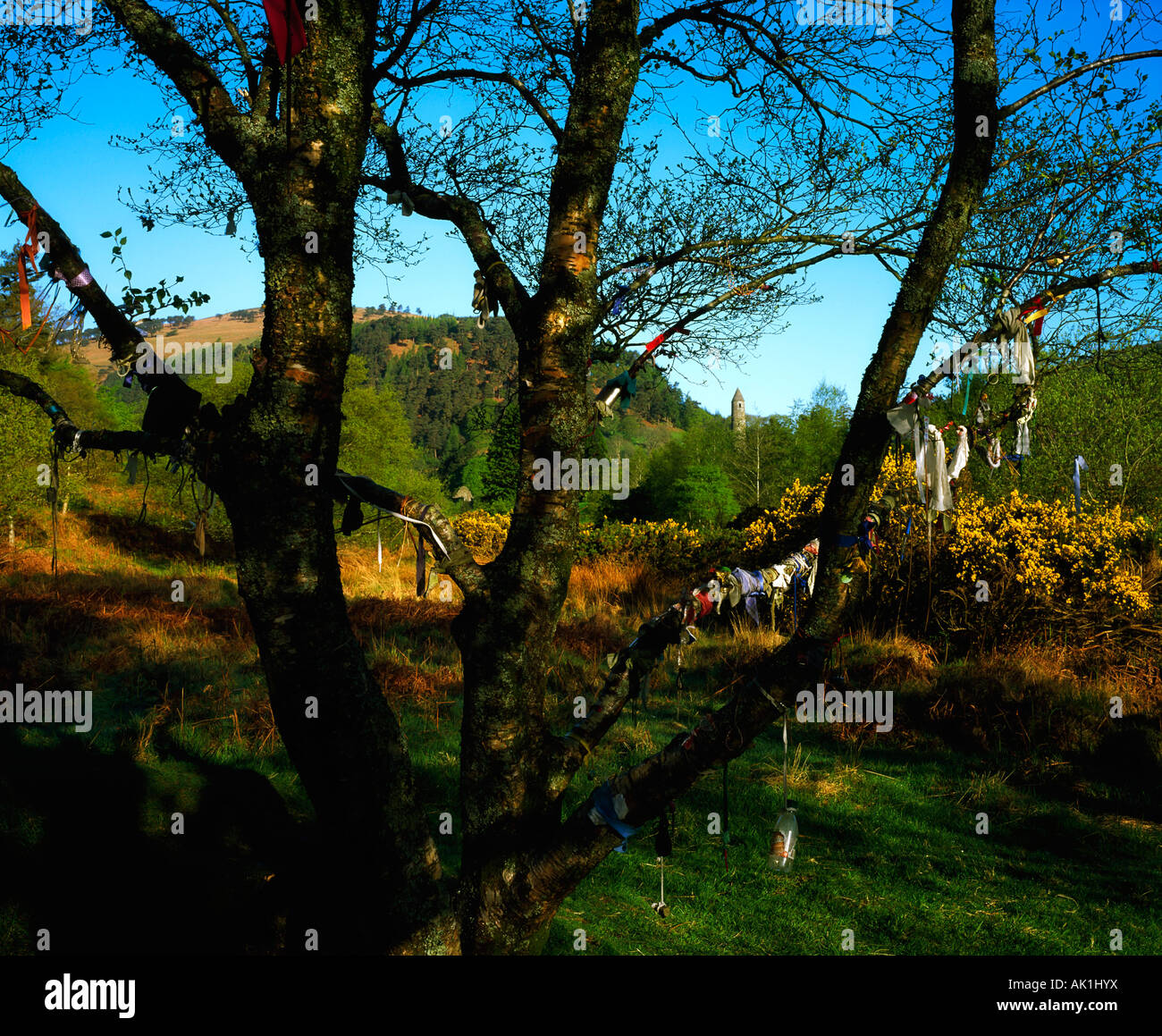 Prayertree High Resolution Stock Photography and Images - Alamy