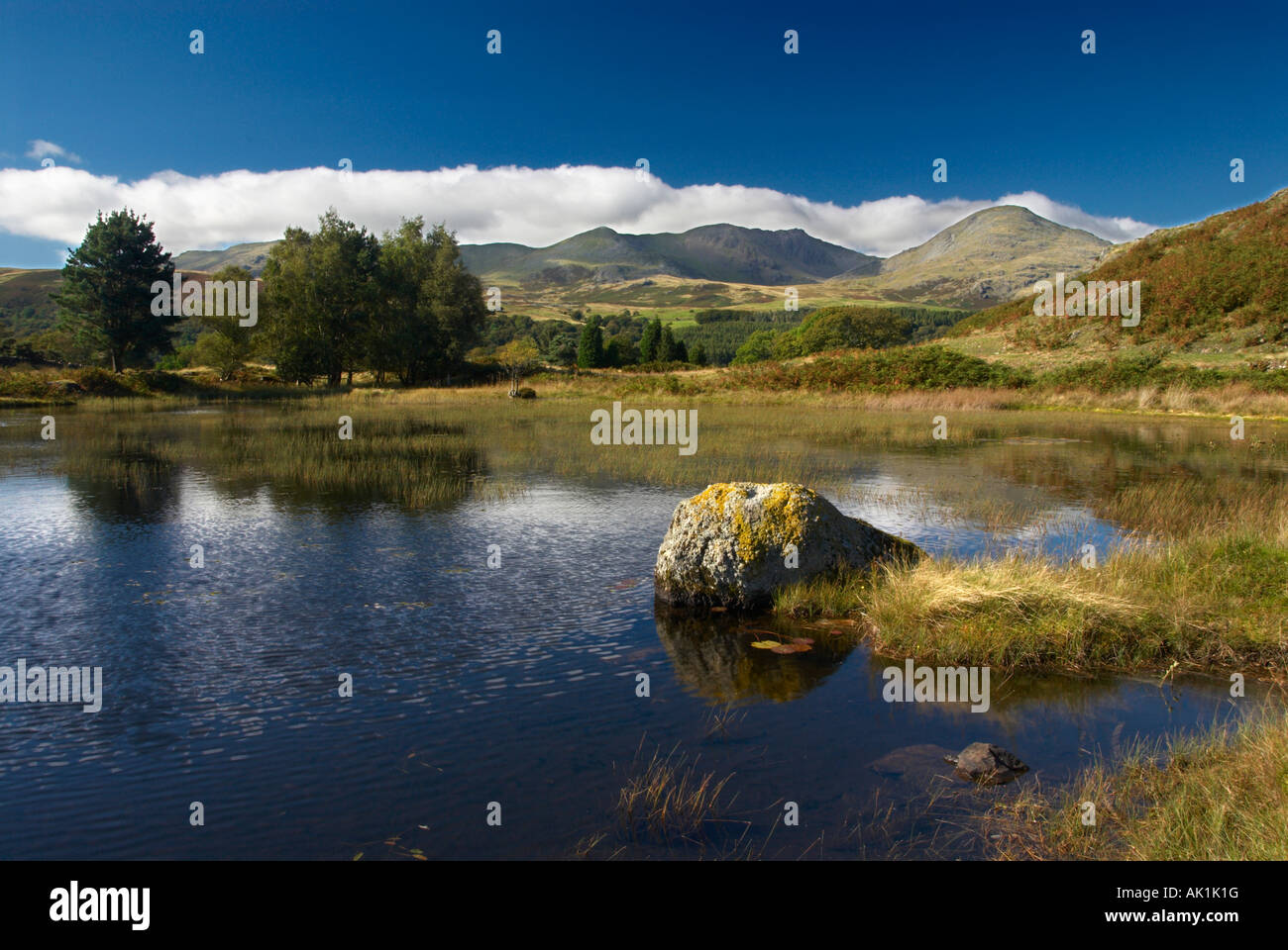 The View Of High Stile From Kelly Hall Tarn Lake District Cumbria UK ...