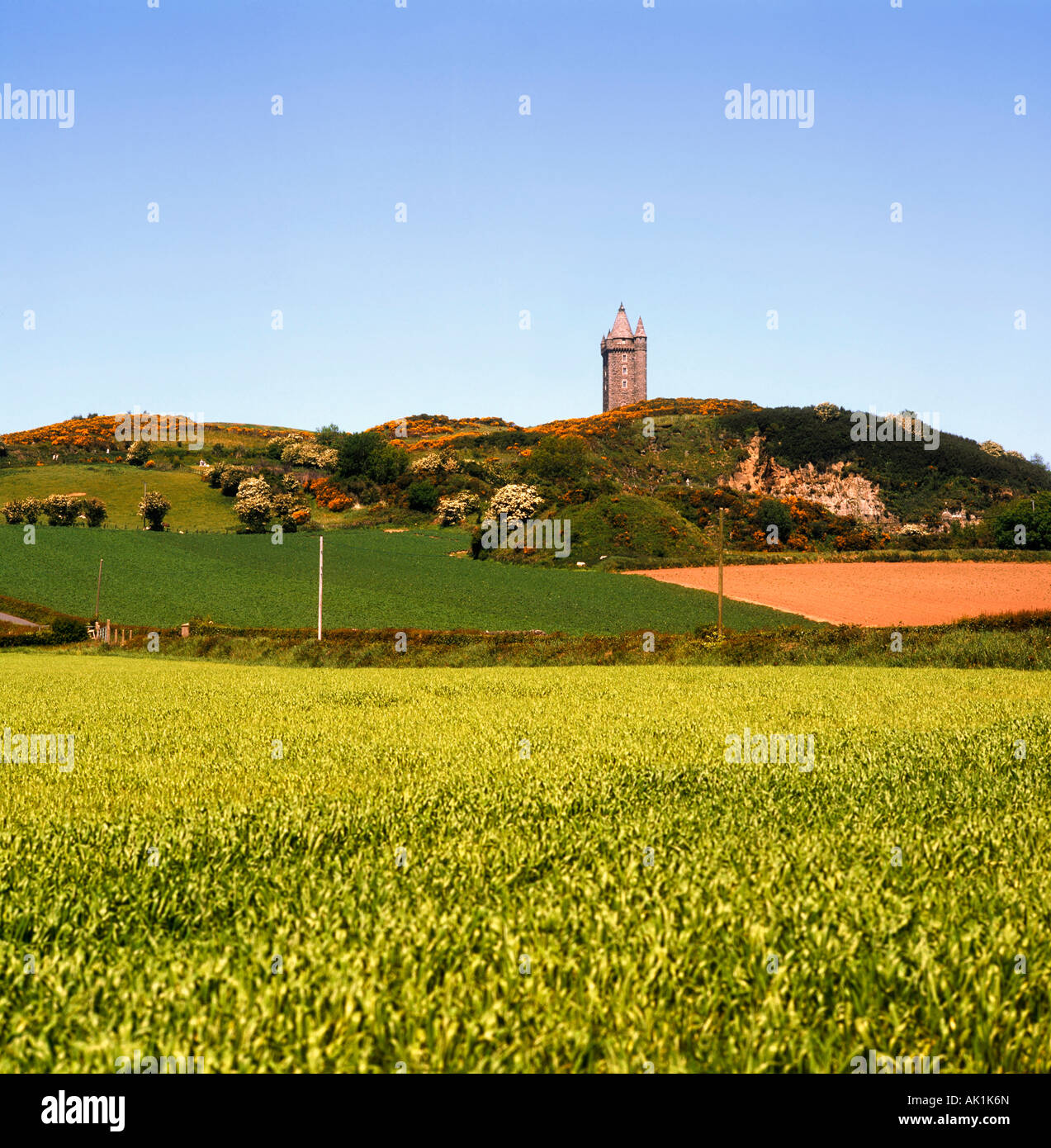 Scrabo country park newtownards hi-res stock photography and images - Alamy