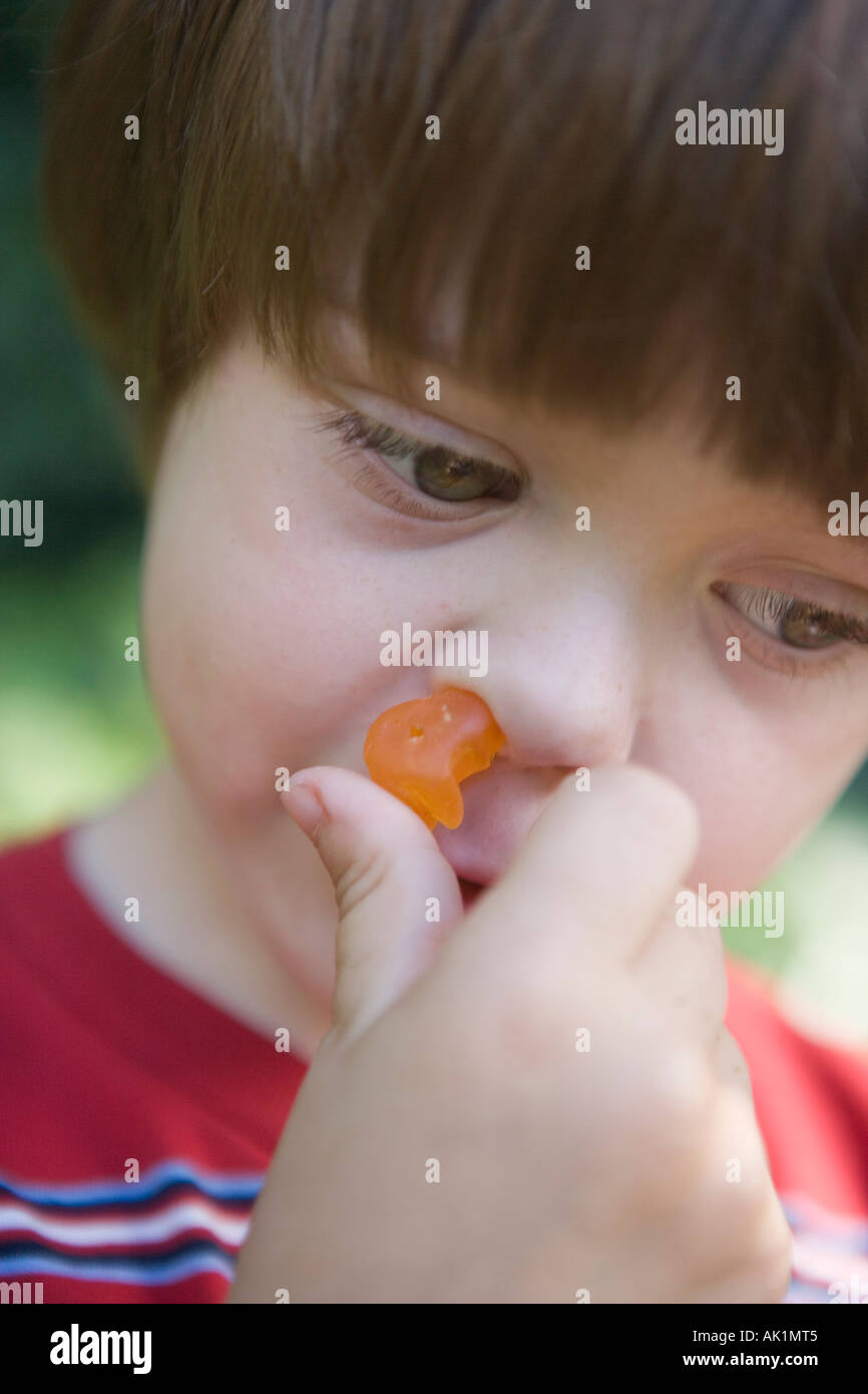 child putting piece of candy up his nose Stock Photo - Alamy