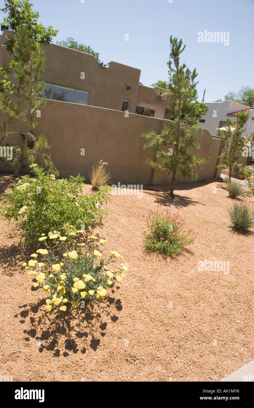 Xeriscaped yard hi-res stock photography and images - Alamy