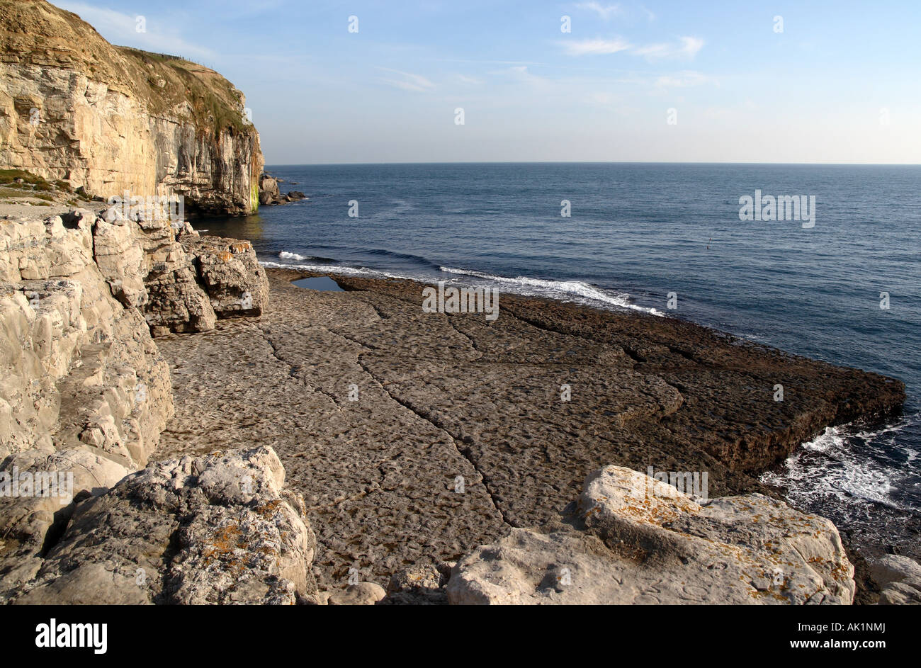Dancing Ledge on the Dorset coast in England Stock Photo - Alamy