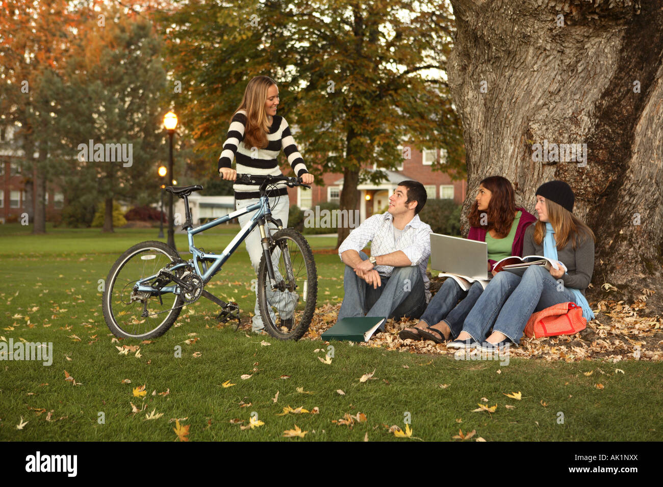 Group of college students sitting by a tree Stock Photo - Alamy