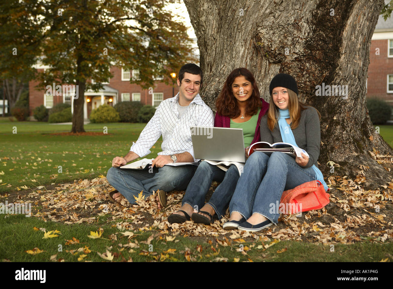 Group of college students sitting by a tree Stock Photo - Alamy