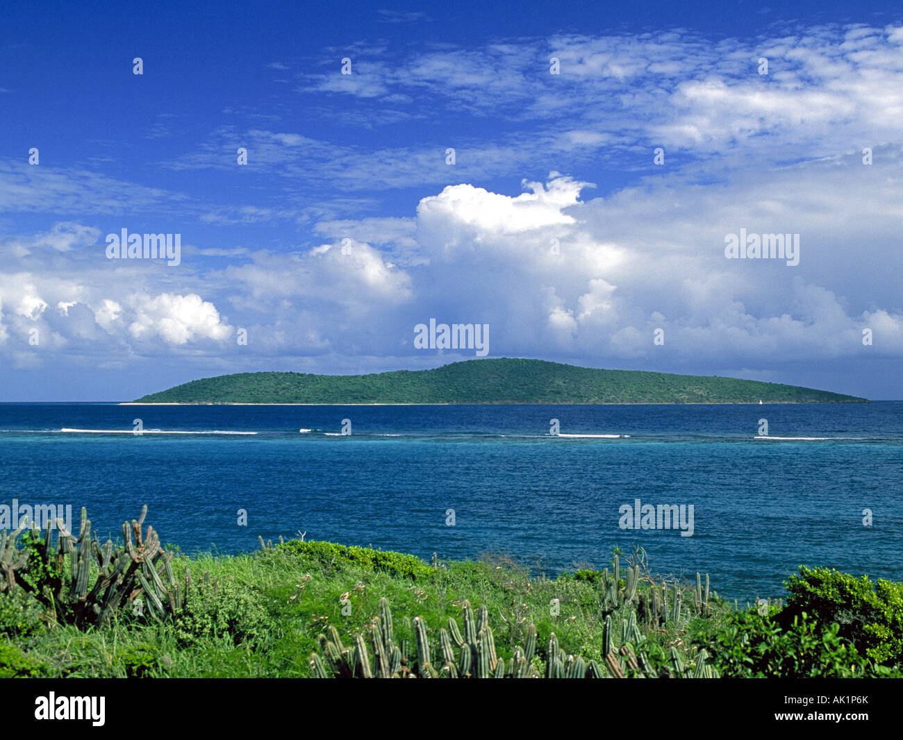 St croix virgin islands salt river High Resolution Stock Photography ...