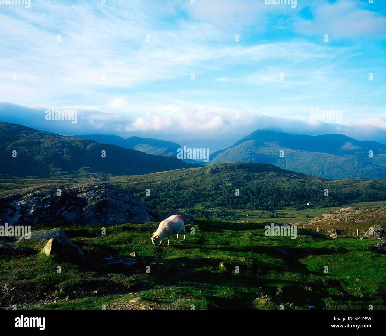 Moll's Gap, Gap Of Dunloe, Ring Of Kerry, County Kerry, Ireland Stock ...