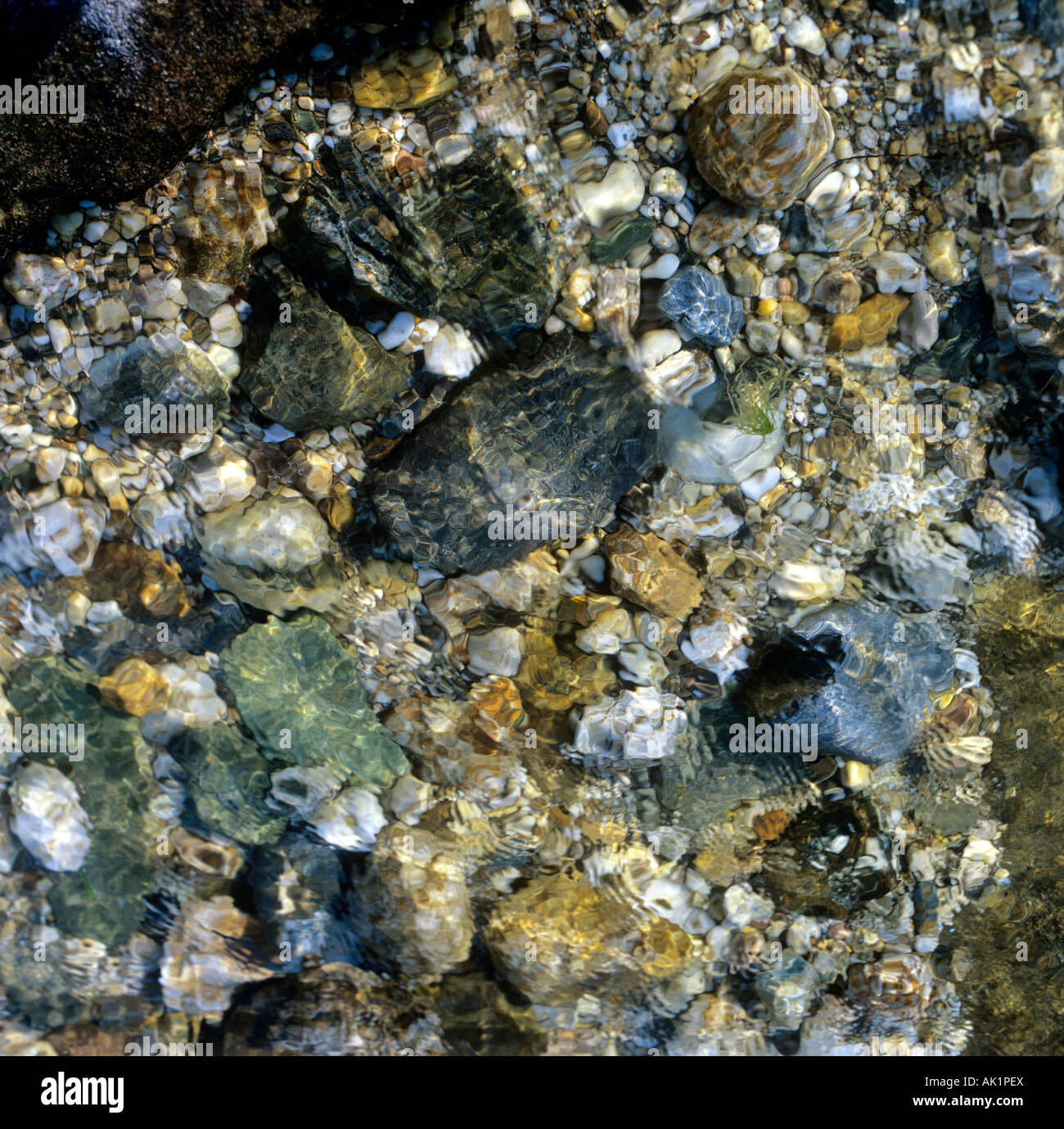 water covered pebble stones in creek Stock Photo - Alamy