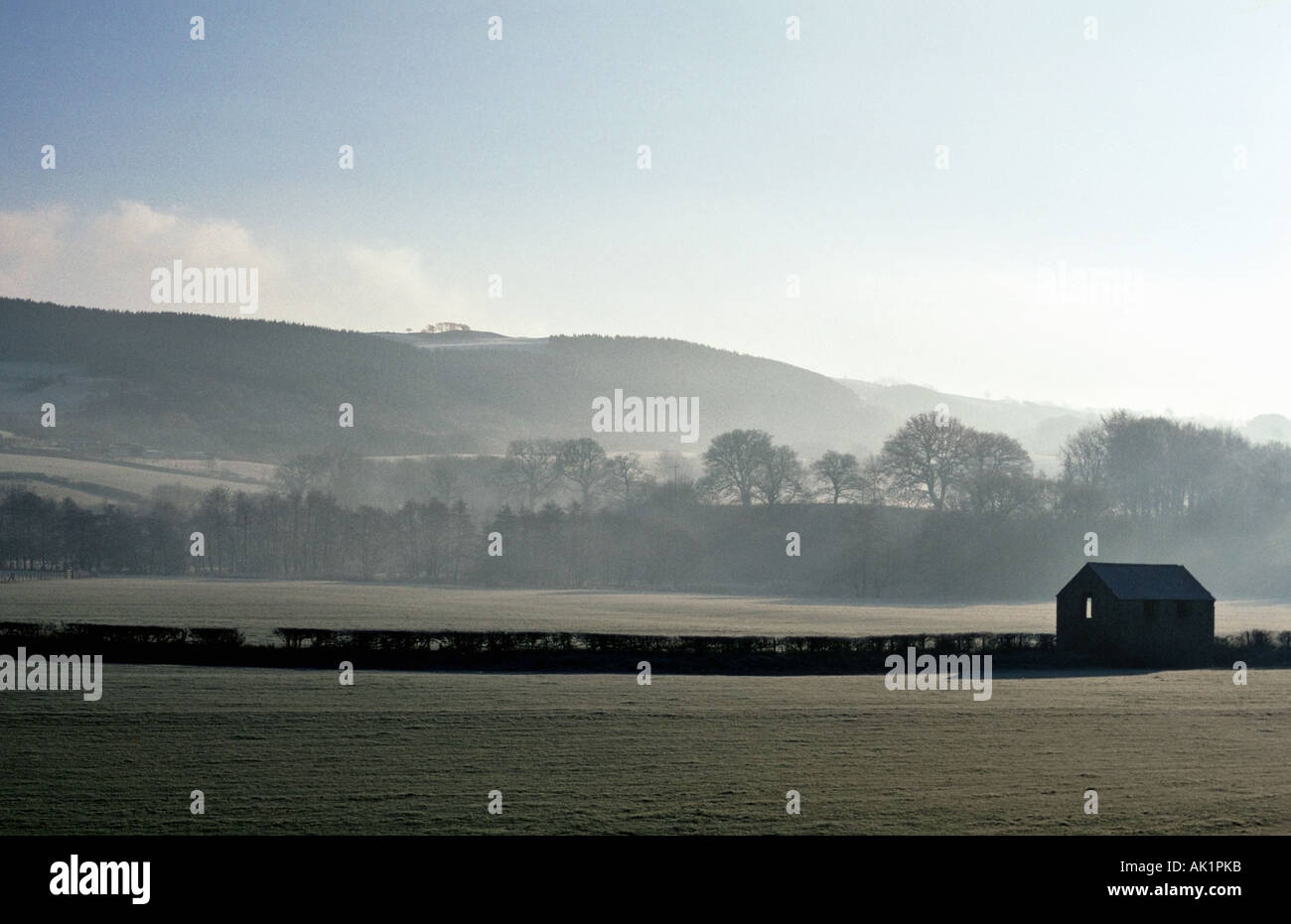 Misty Landscape hedge and farm building Elwy Valley North Wales Stock ...