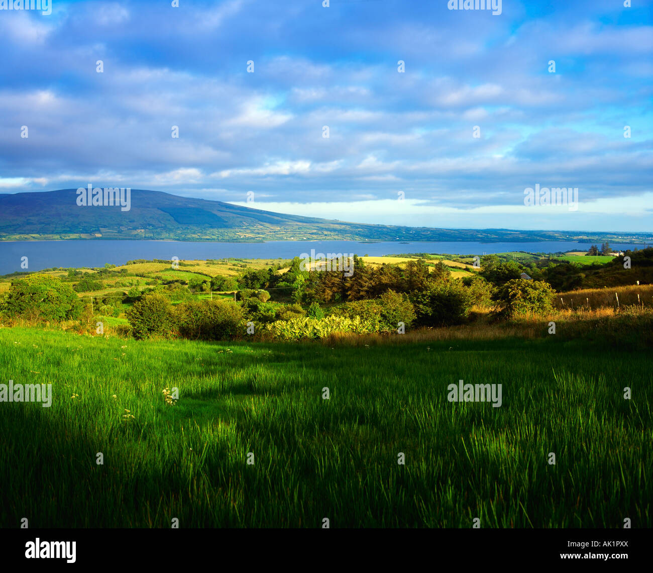 Lough Allen, County Leitrim, Ireland, Near Arigna Stock Photo - Alamy