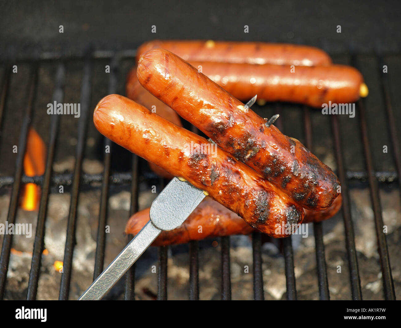 Roast dogs hi-res stock photography and images - Alamy