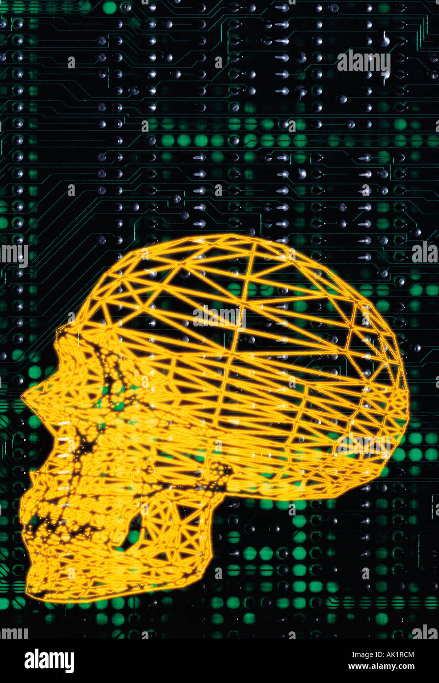 Conceptmontage of grid line pattern skull illustration with computer ...