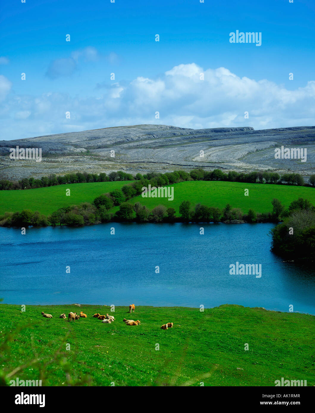 Mullaghmore burren county clare hi-res stock photography and images - Alamy