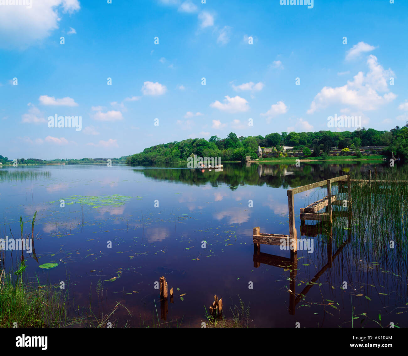 Rynn hi-res stock photography and images - Alamy