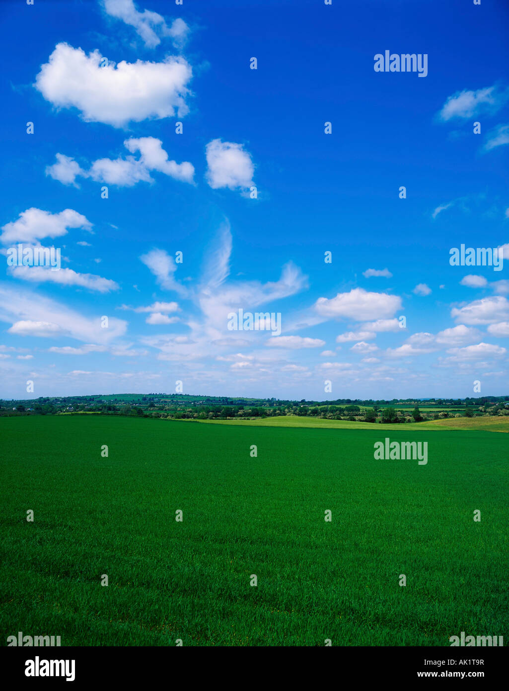County Kildare, Ireland Stock Photo - Alamy