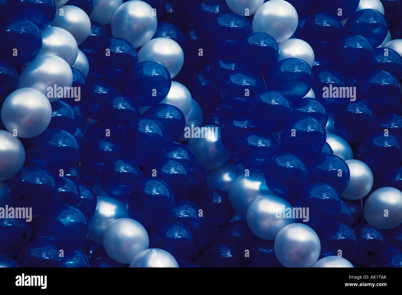 Close-up of many blue and white balloons bunched together Stock Photo ...