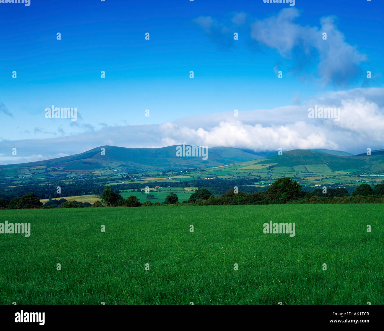Bunclody co wexford ireland hi-res stock photography and images - Alamy