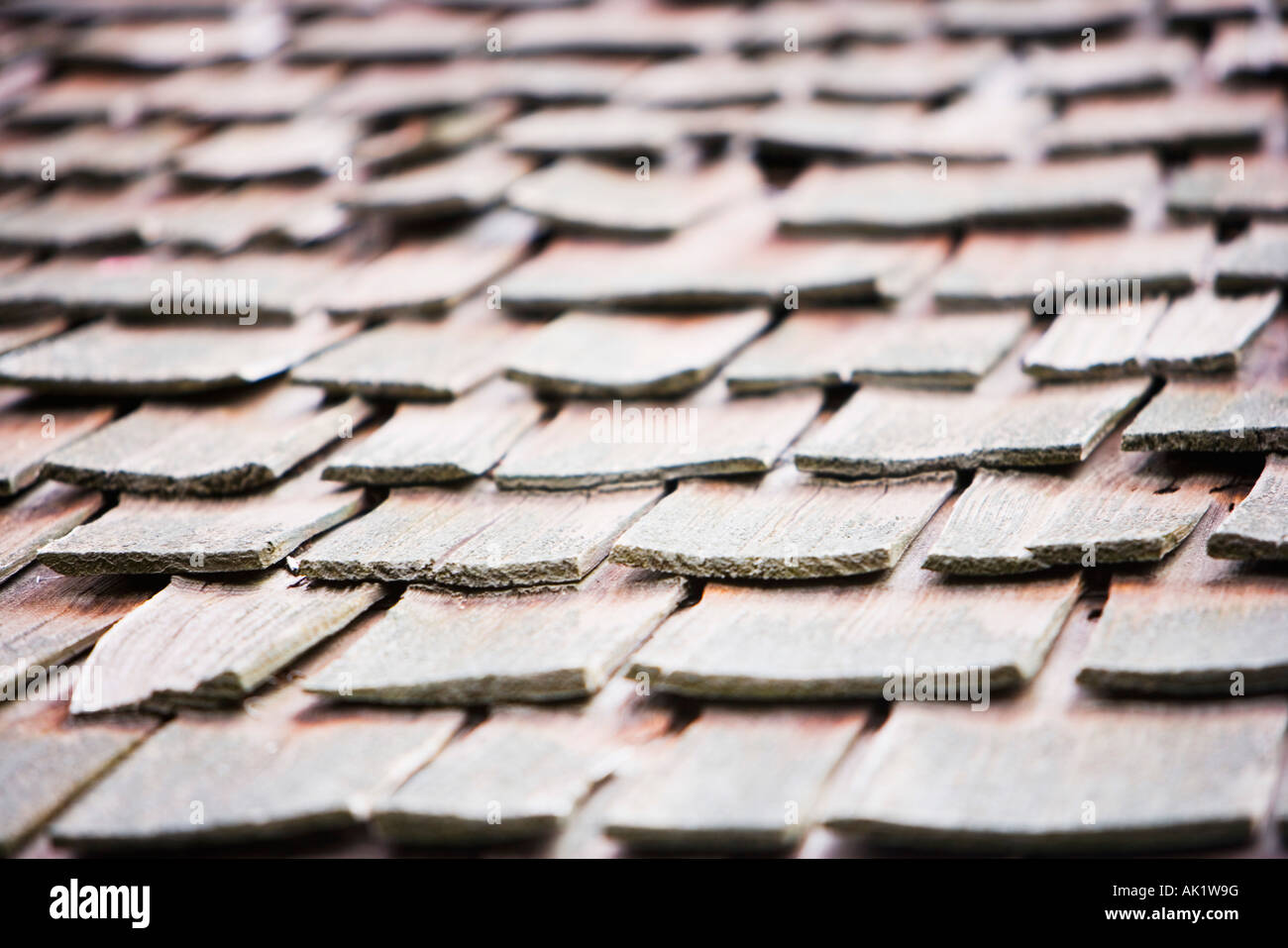 Detail of Wood Shingles Stock Photo - Alamy
