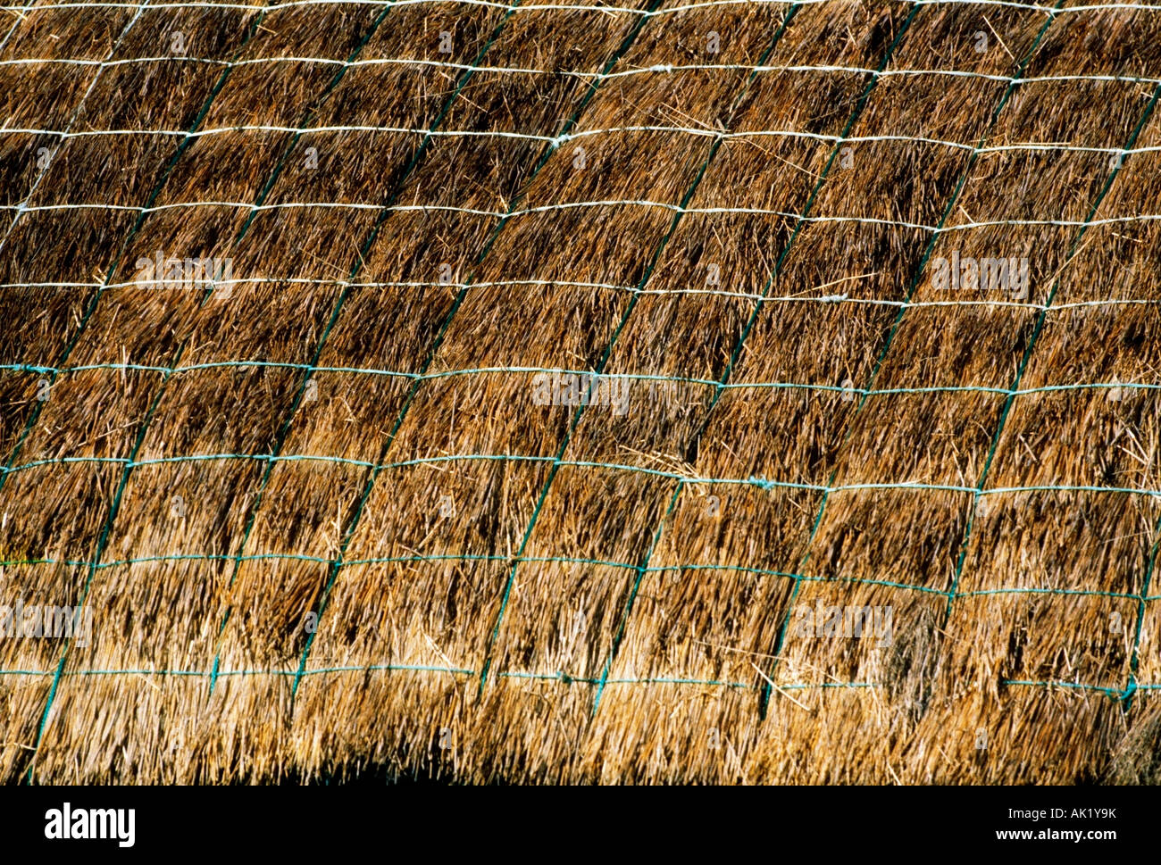 Ireland, Traditional thatching Stock Photo - Alamy