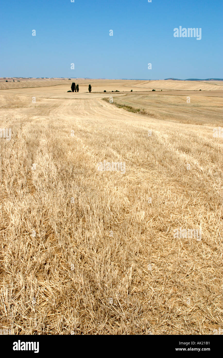 Castile and leon landscape hi-res stock photography and images - Alamy