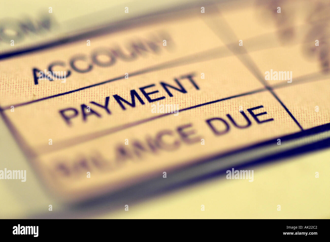 Account payment balance due all capitals corner boxes bill partial ...