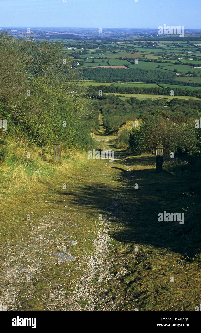 tram way at kit hill cornwall Stock Photo - Alamy