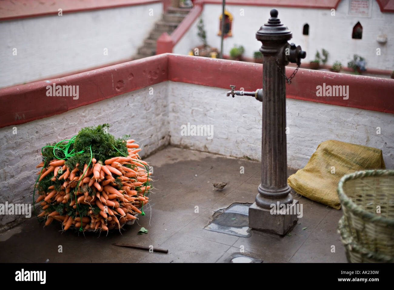 Carrot and water tap Patan city Kathmandu Nepal Stock Photo - Alamy