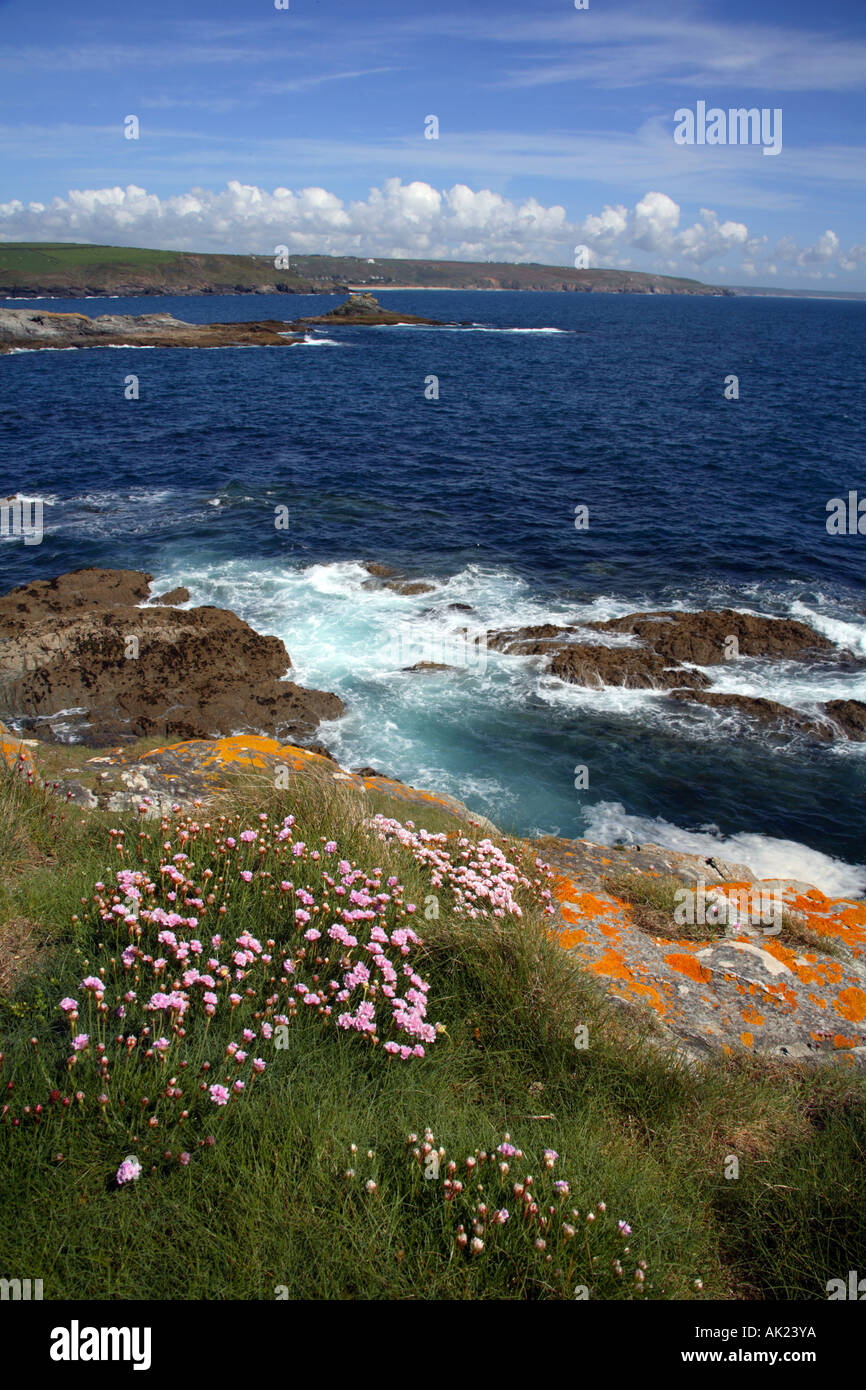 Prussia cove and cornwall hi-res stock photography and images - Alamy