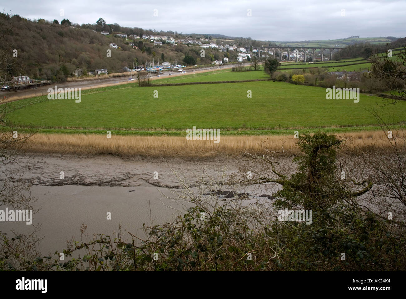 Tamar estuary hi-res stock photography and images - Alamy