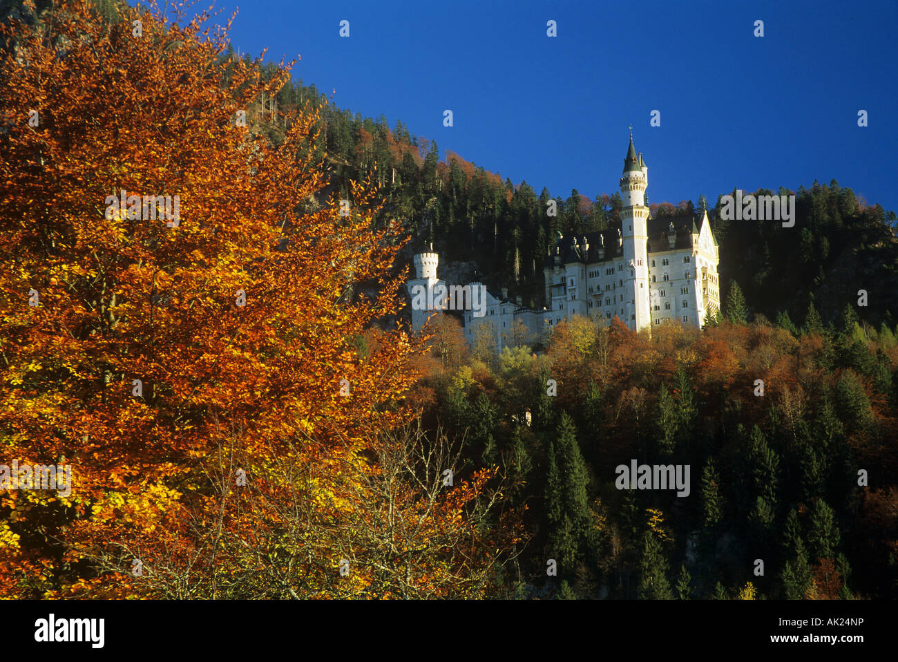 New swan stone castle hi-res stock photography and images - Alamy