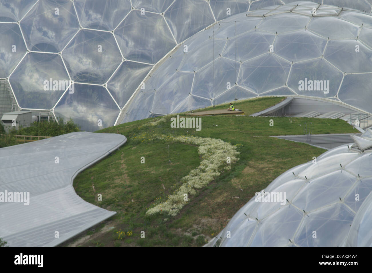 biomes and planting at the eden project spring 2006 cornwall Stock ...