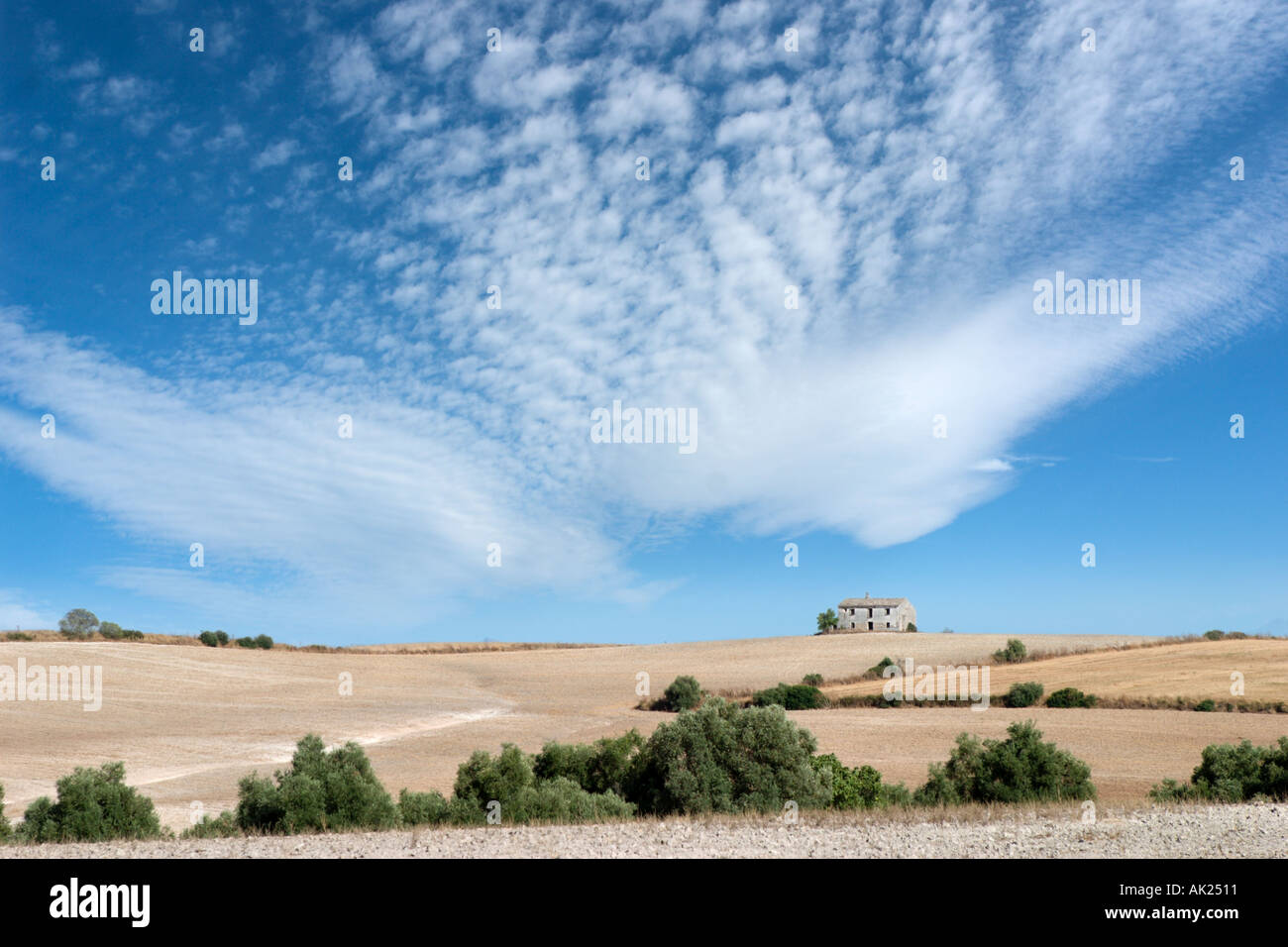 Rural landscape in the Ronda Region, Andalucia, Spain Stock Photo - Alamy