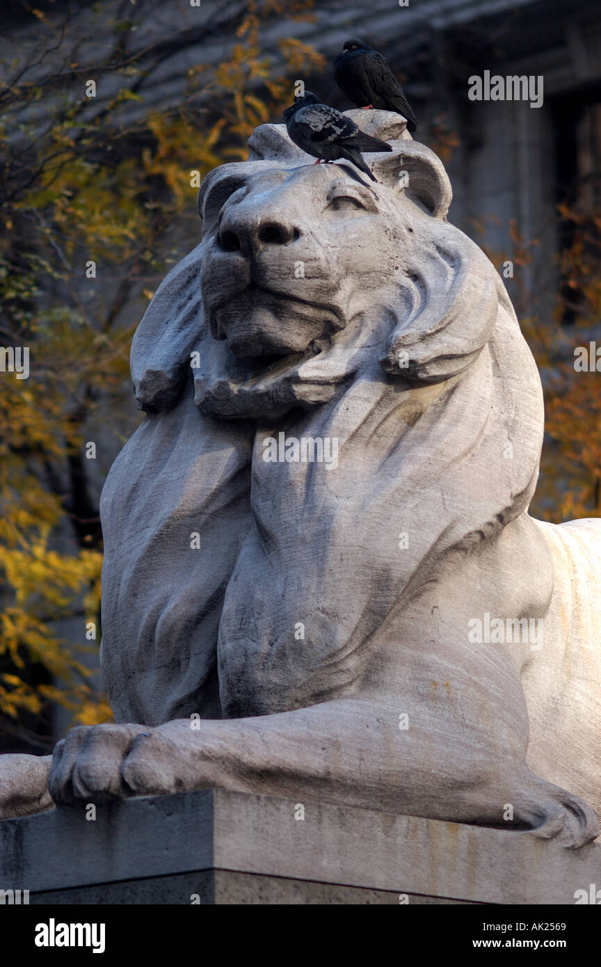 NY Manhattan Library 42 Lion vertical Stock Photo - Alamy