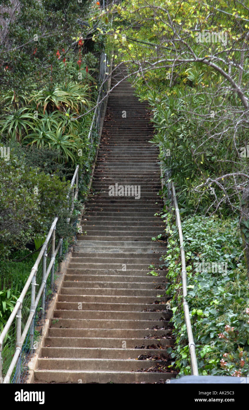 Steps going up hill Stock Photo - Alamy