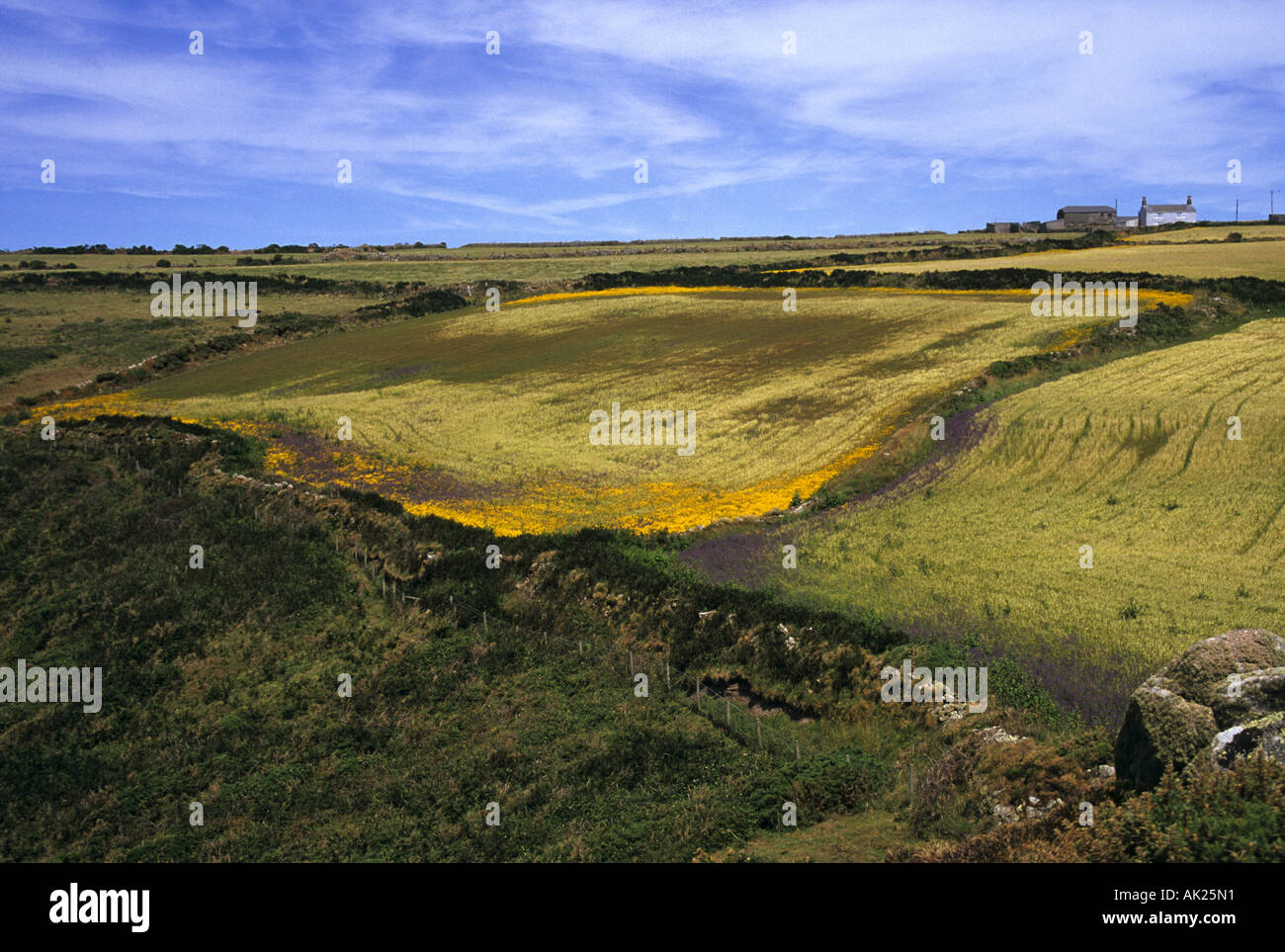 Arable farming cornwall hi-res stock photography and images - Alamy