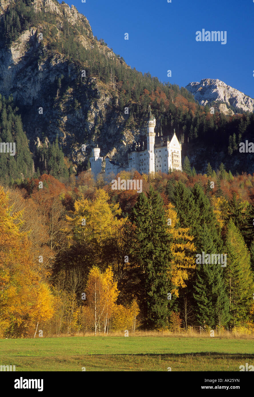 New swan stone castle hi-res stock photography and images - Alamy