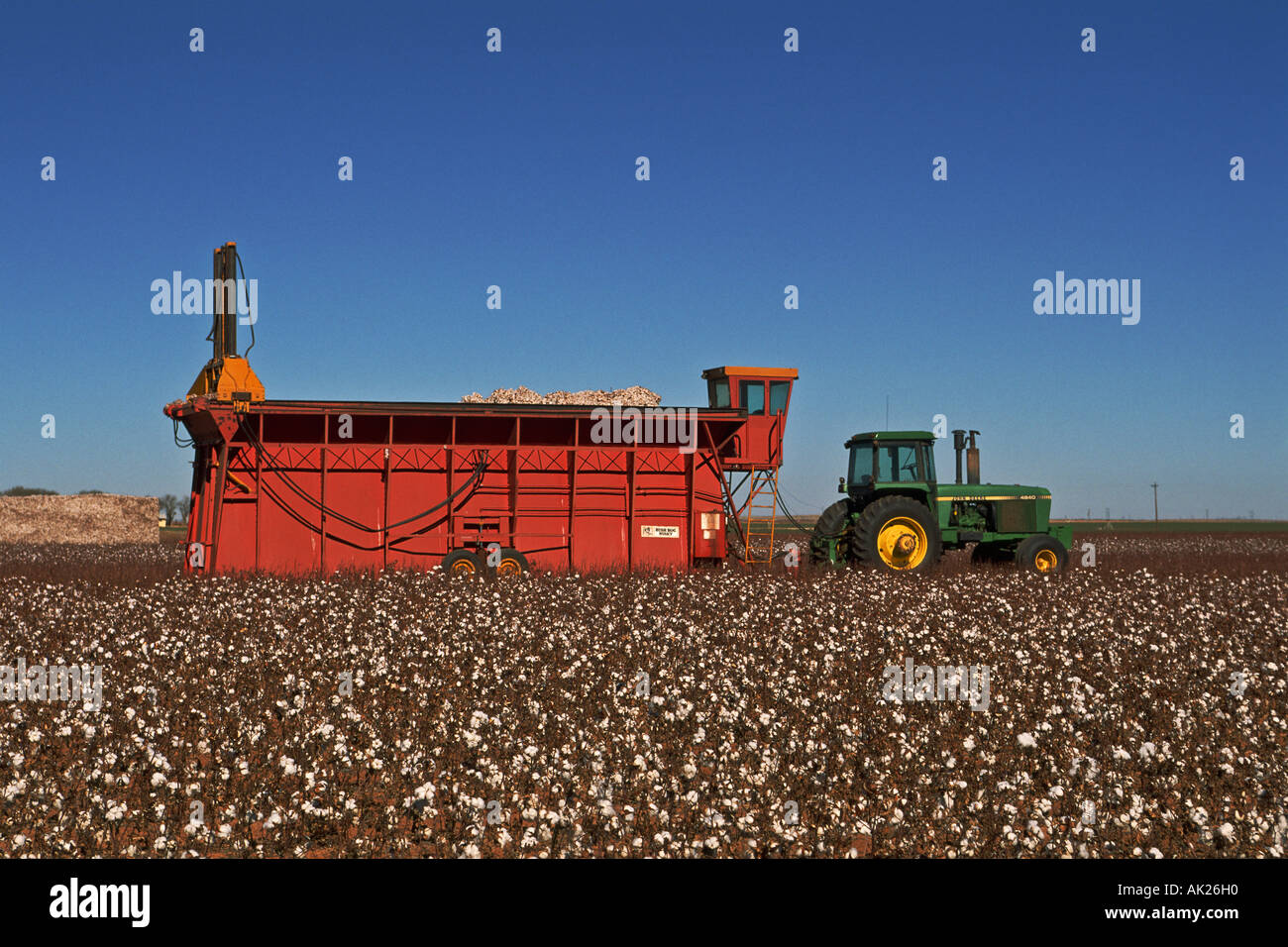 Bush Hog Husky compacts Bales of harvested cotton in field Needmore ...