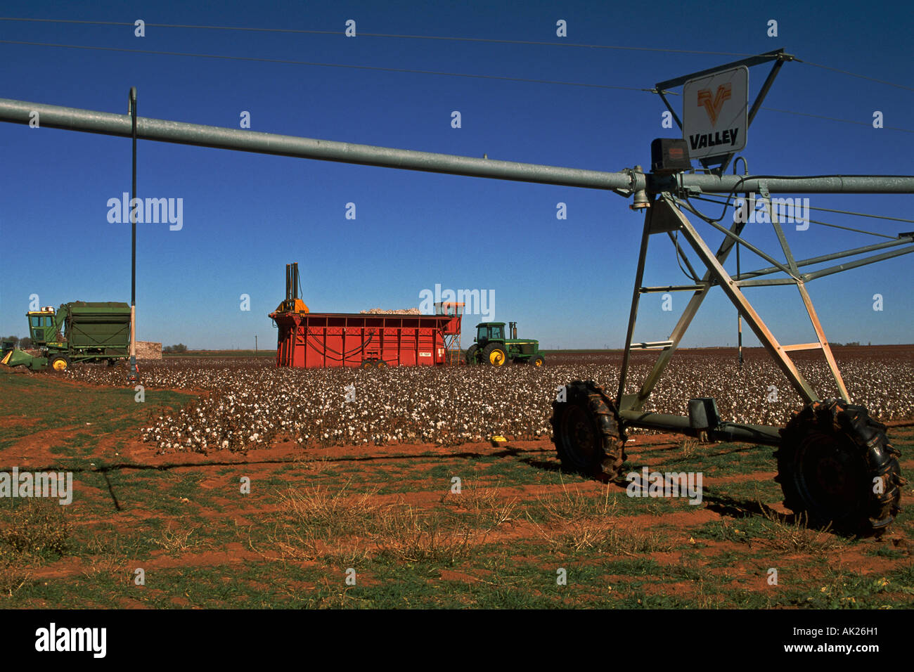 Bush Hog Husky compacts Bales of harvested cotton in field Needmore ...